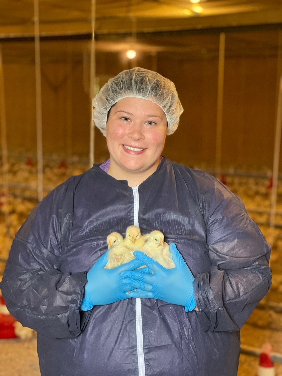 About Us – BJE Poultry